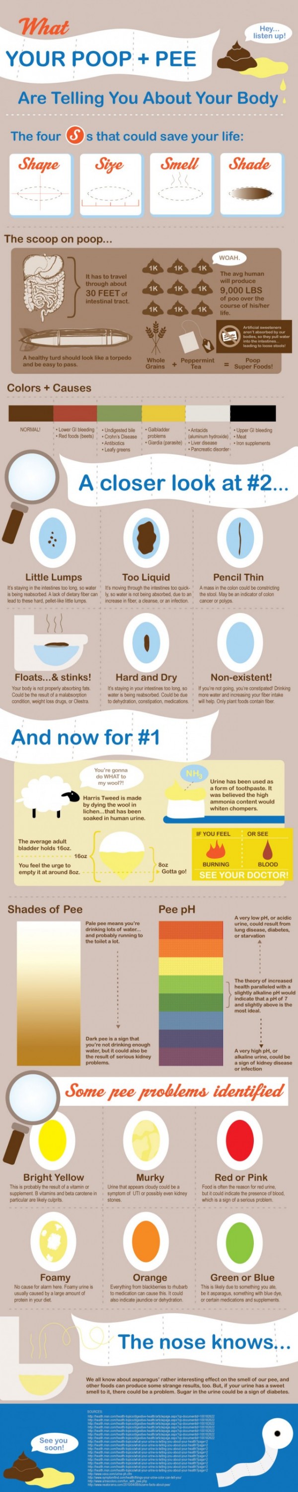 What your Poop and Pee are telling about your Body – Infographics